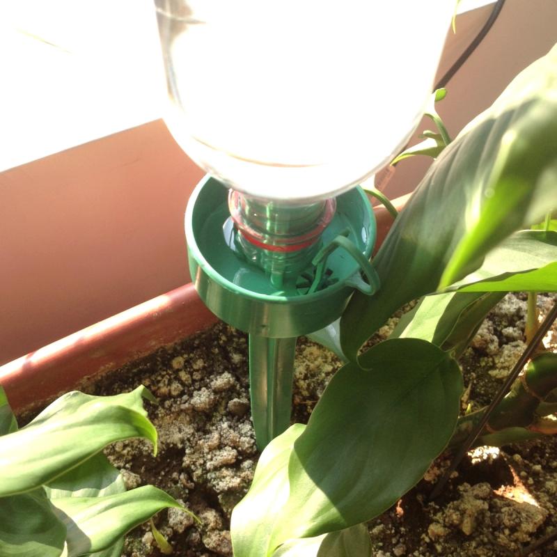 Self-watering Planters-Patented Plant Dropper-Products by Category ...